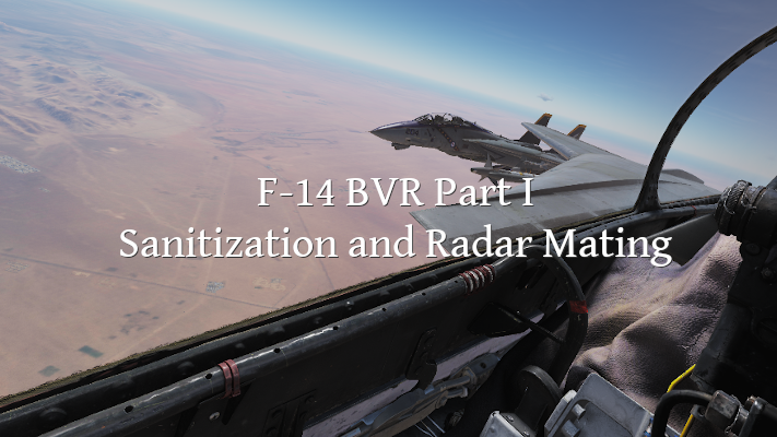 F-14 BVR Part I: Sanitization and Radar Mating – FlyAndWire