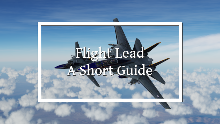 Flight Lead: A Short Guide – FlyAndWire
